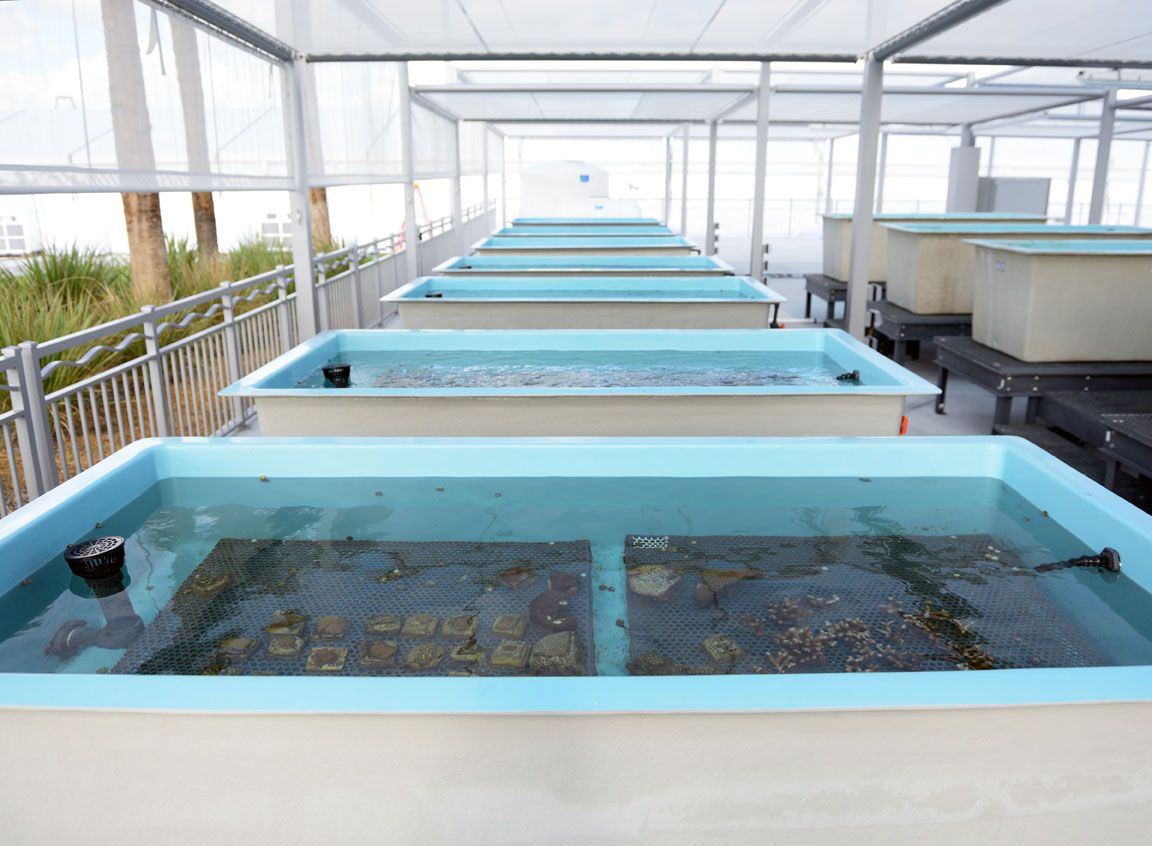2012: Our First Commercial Lab - Tenji Aquarium Design + Build