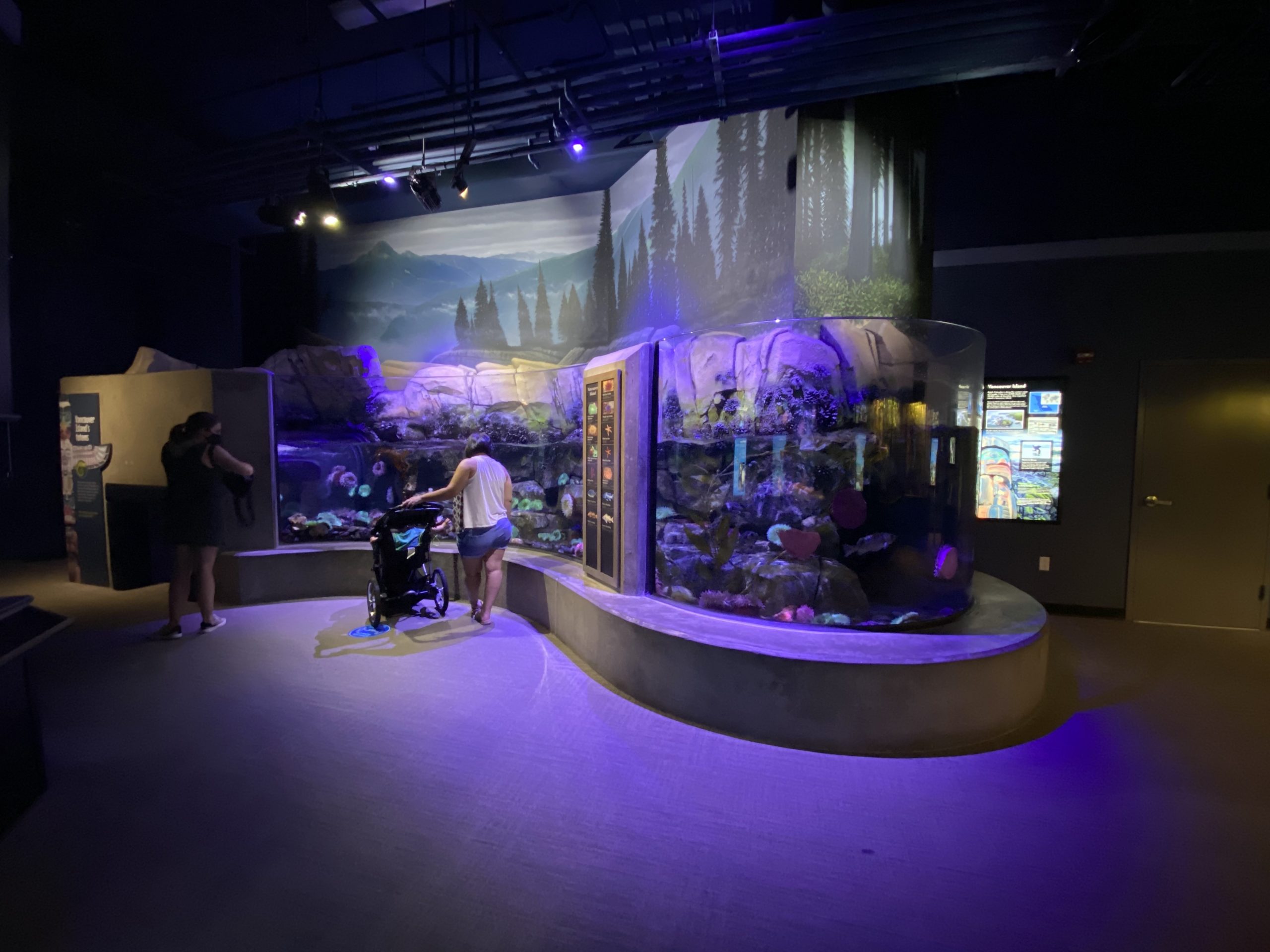 Wave Crash Tanks - Tenji Aquarium Design + Build